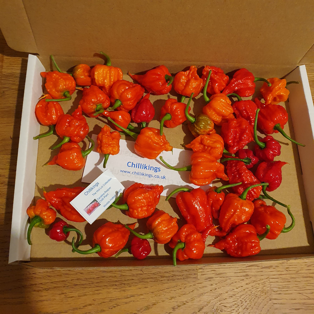 100g Fresh, Small/medium, Carolina Reaper Chillies!!! World's Hottest ...
